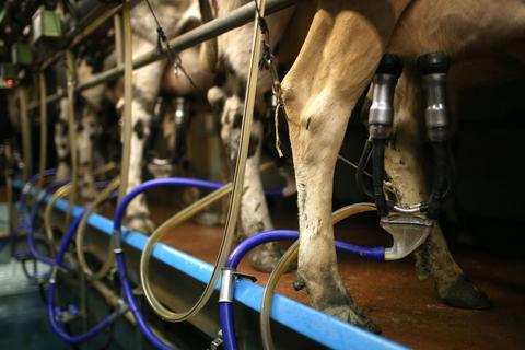 The structure that turned a shortage of milk to a surplus in just a few ...