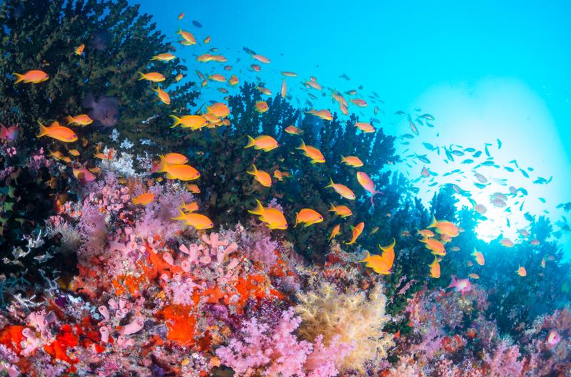 The BBNJ Agreement in the Context of the Historical Development of the ...